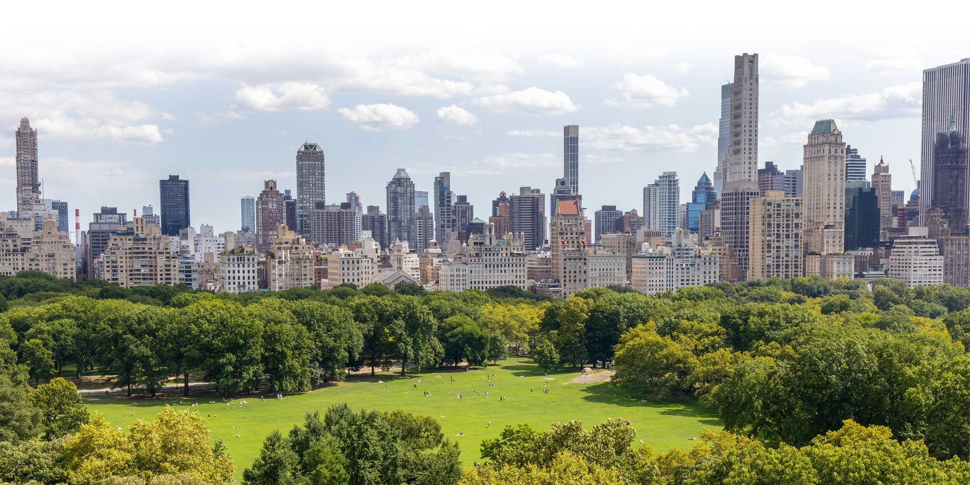 Seeing Central Park: The Official Guide – Updated & Signed Edition ...